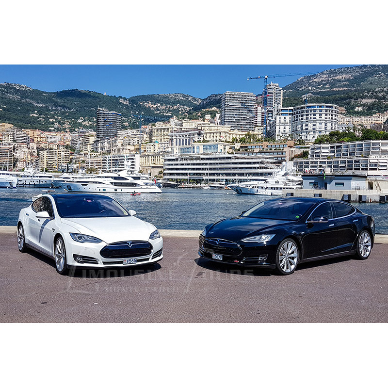 Transfer Monaco - Nice City with Driver Size Tesla Model S