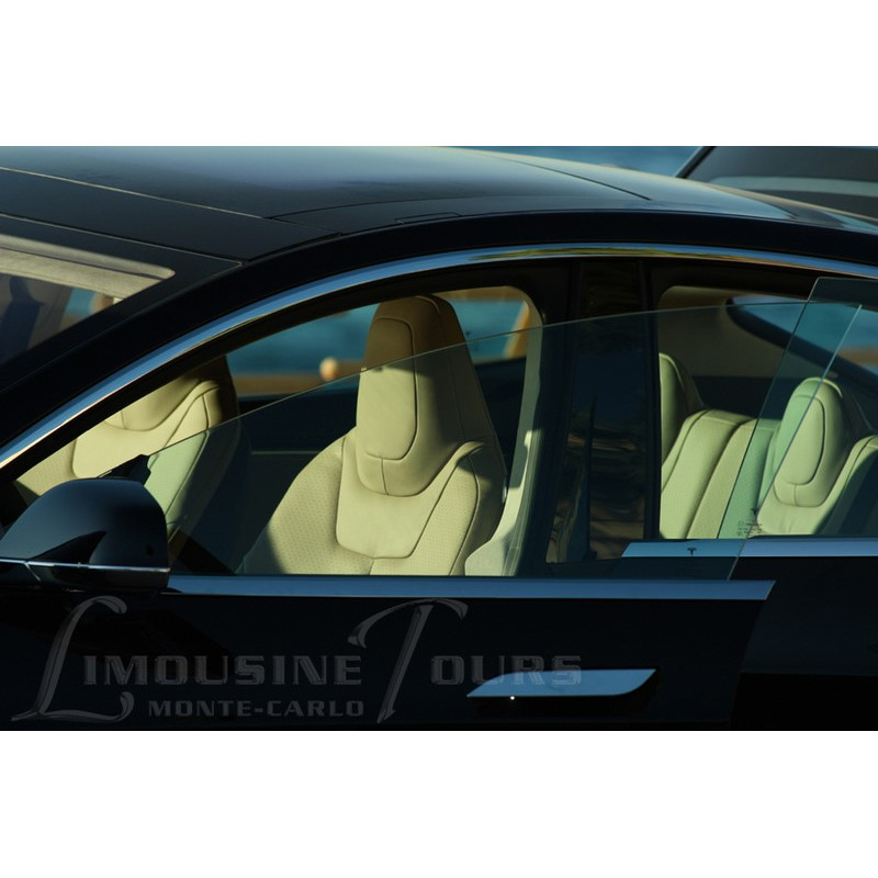 Transfer Monaco - Nice City with Driver Size Tesla Model S